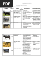 Swine Terminology | PDF | Pig | Livestock