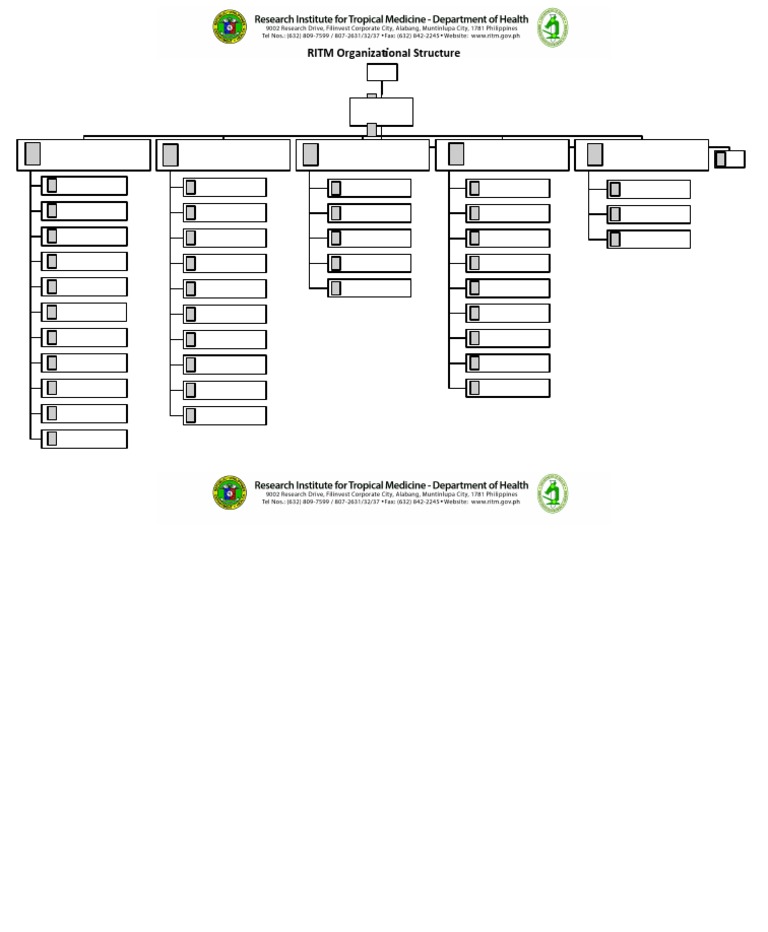 RITM Organizational Structure: Celia C. Carlos, MD Director | PDF ...