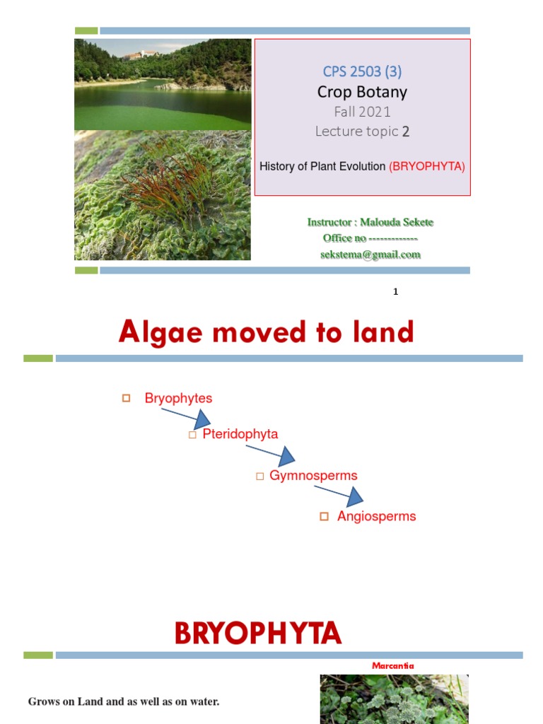 Crop Botany-CPS 2503 Lecture 2 | PDF | Fertilisation | Seed