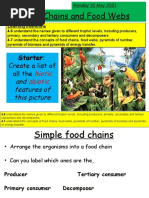 3rd Grade - Food Chain Worksheet | PDF