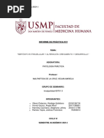 En Qué Consiste El MAPA y AMPA | PDF | Hipertensión | Presión sanguínea