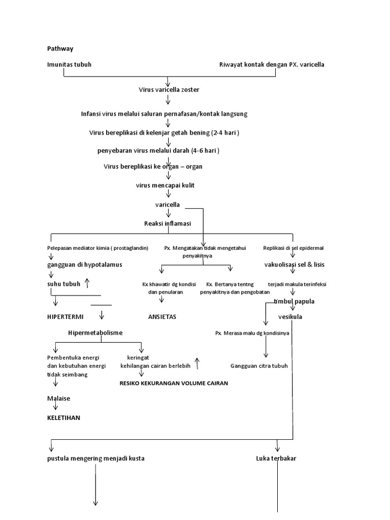 Pathway & Patofisiologi | PDF