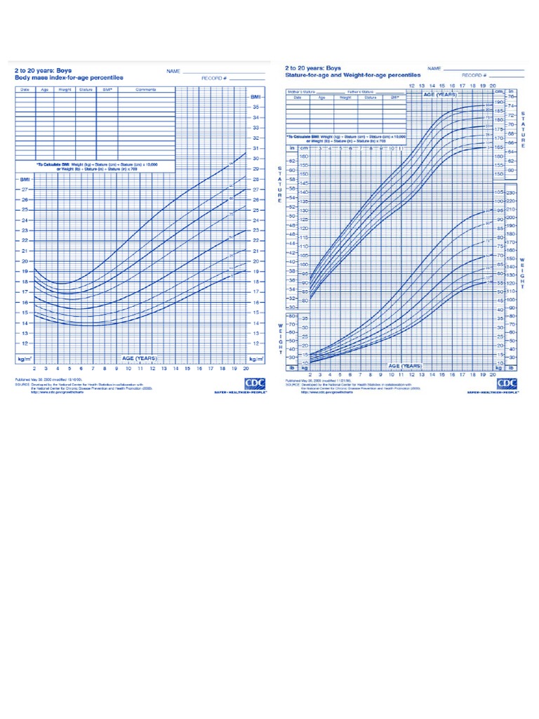 Kurva CDC Boys | PDF