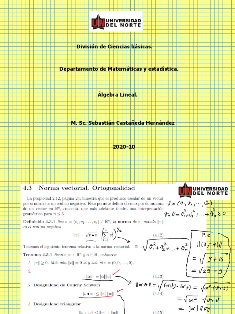 Norma Vectorial | PDF