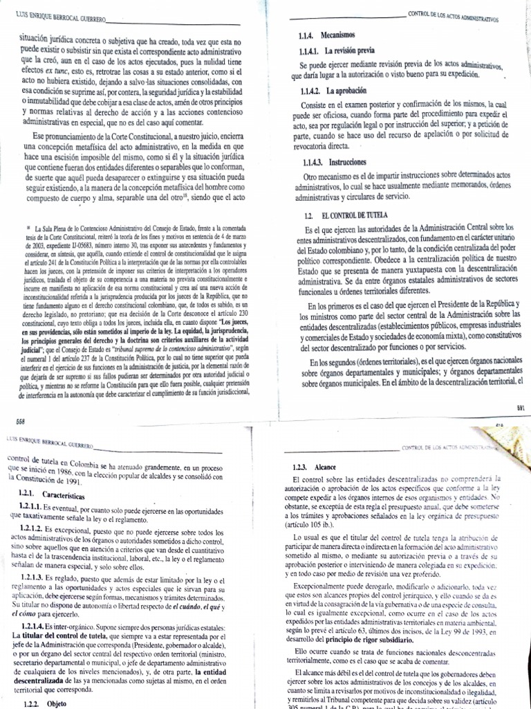 Mecanismos de Control de Legalidad | PDF | Auditoría | Planificación