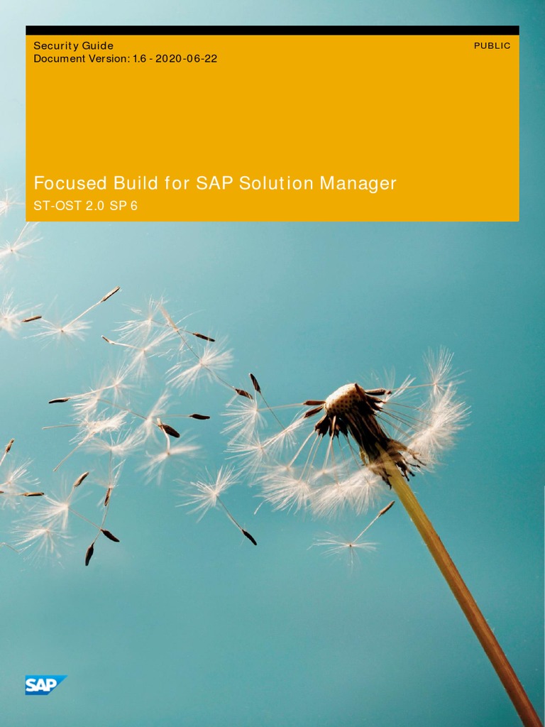 Focused Build For SAP Solution Manager: ST-OST 2.0 SP 6 | PDF ...