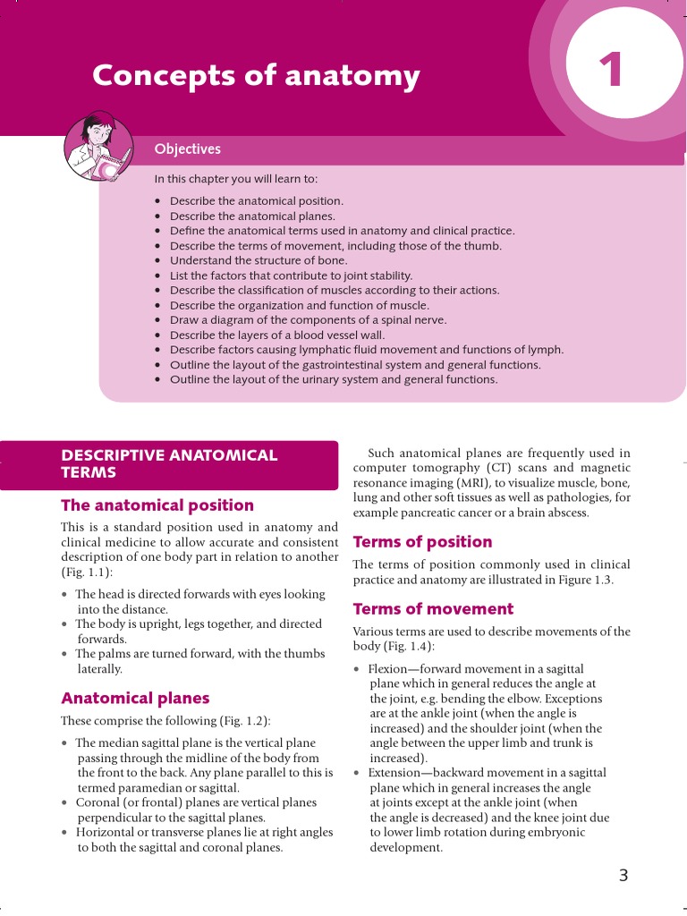 The Human Atlas Body | PDF | Anatomical Terms Of Motion | Bone