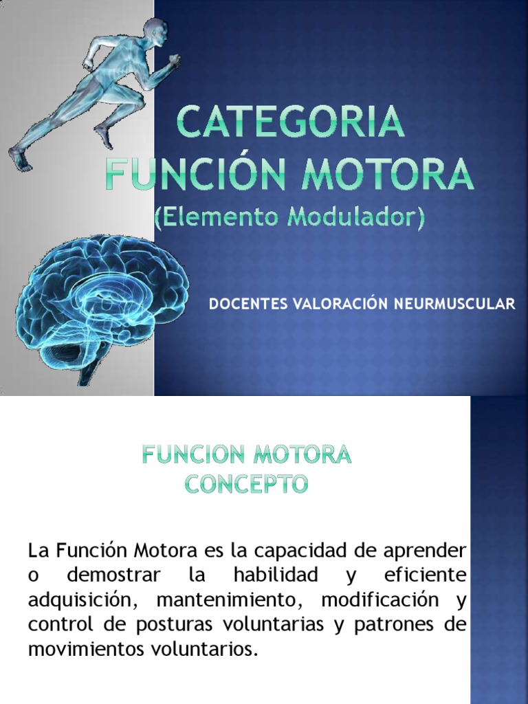 Categoría Funcion Motora | PDF | Sistema nervioso | Aprendizaje