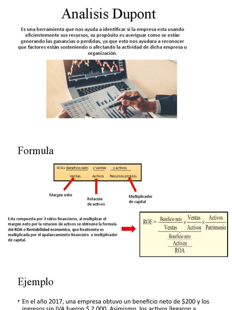 Analisis Dupont | PDF