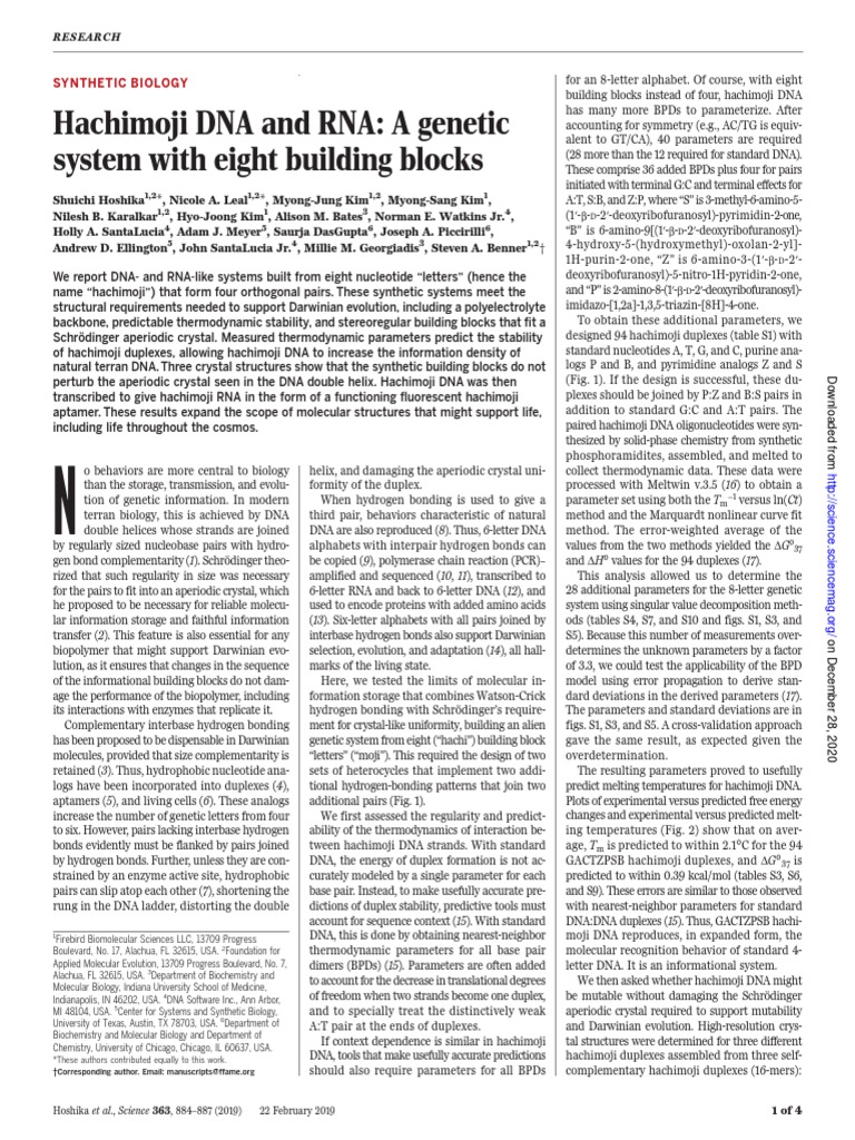 Hachimoji DNA and RNA | PDF | Nucleic Acid Double Helix | Dna