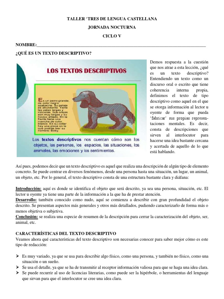 Características del Texto Descriptivo | PDF | Retrato | Información