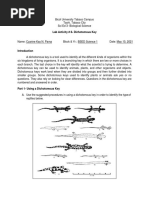 The Rainbow Serpent (Dick Roughsey) | PDF