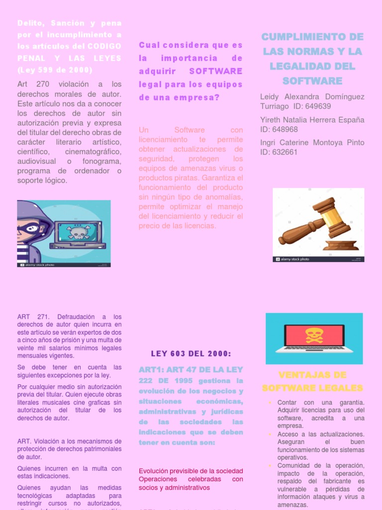 Folleto Software | PDF | Derechos de autor | Justicia