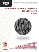 Manual - Rabia en Humano | PDF | Inmunofluorescencia | Rabia