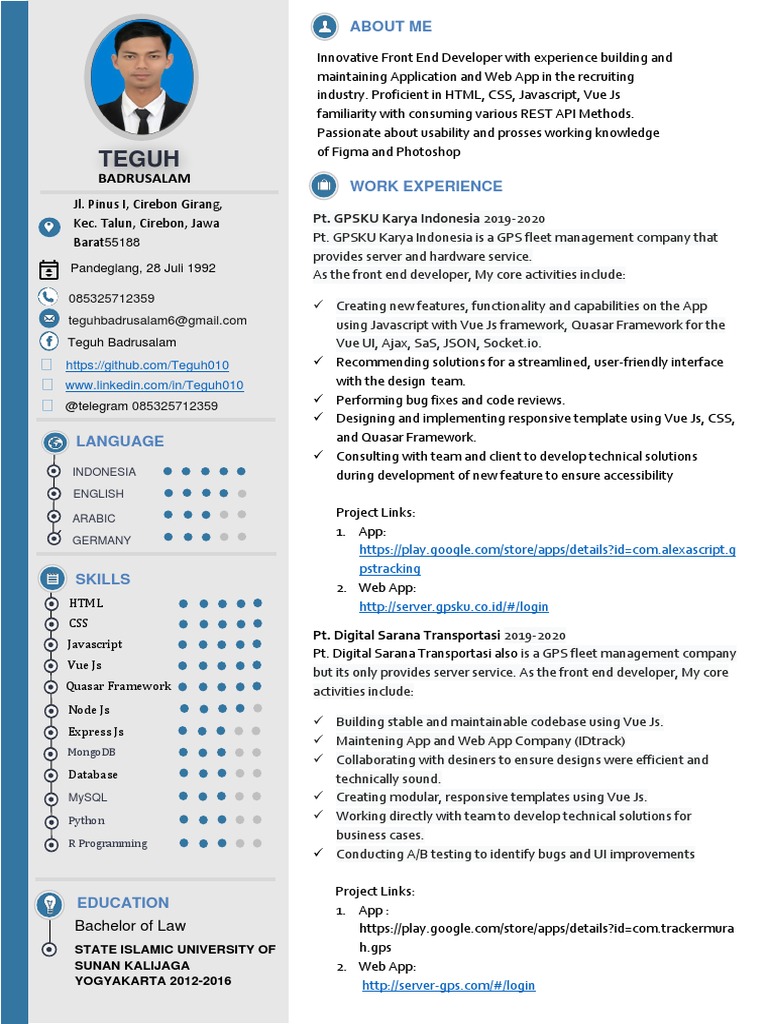 Front End Developer Profile | PDF | Web Application | Java Script