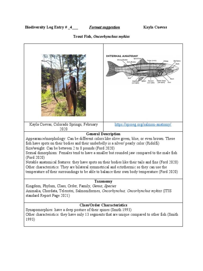 Biodiversity Log Entry # - 4 - Kayla Cuevas Trout Fish, Oncorhynchus ...
