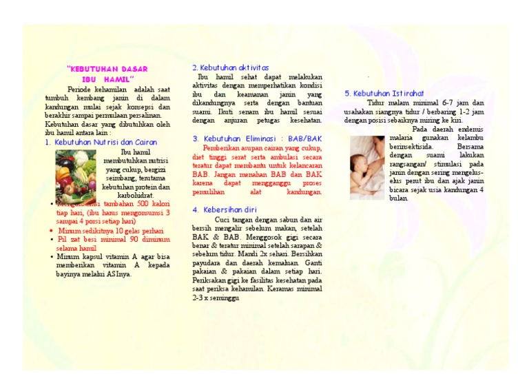 Leaflet Kebutuhan Dasar Bumil | PDF