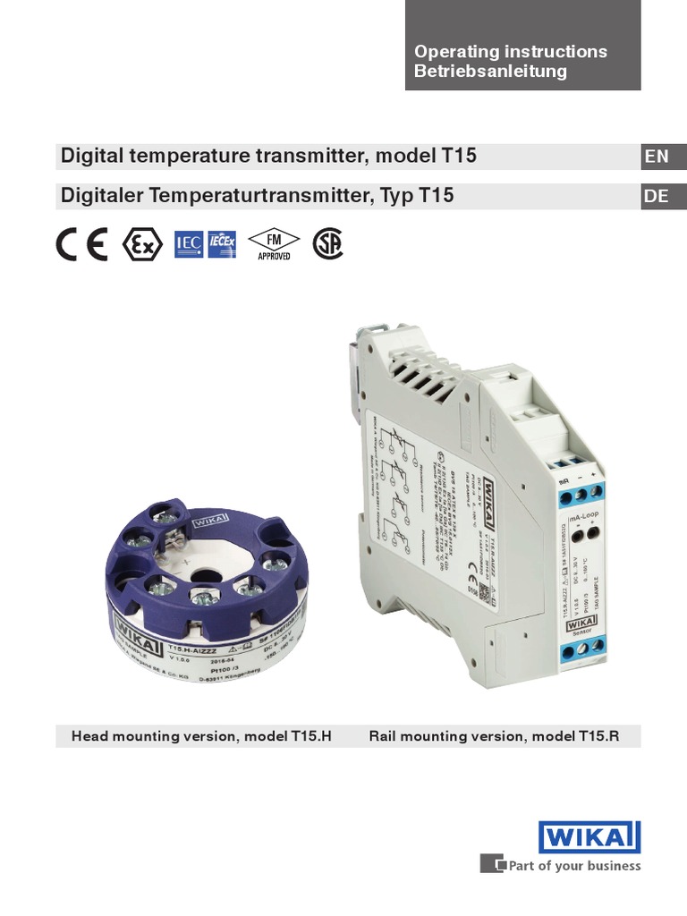 Digital Temperature Transmitter, Model T15 Digitaler ...