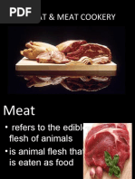 Meat Structure | PDF | Connective Tissue | Meat