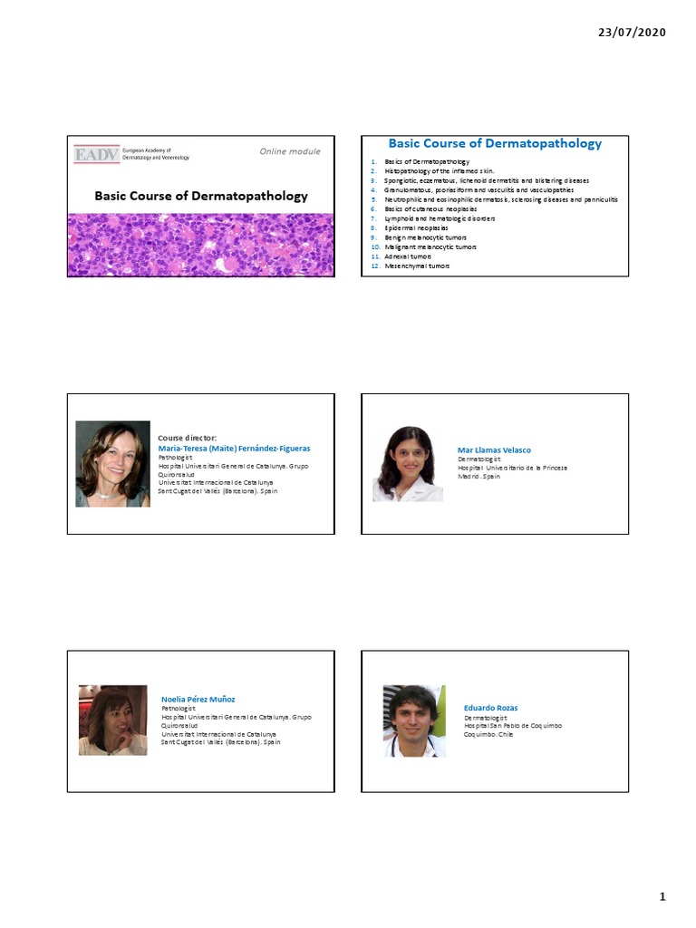 01 Basics On Dermatopathology | PDF | Epidermis | Skin