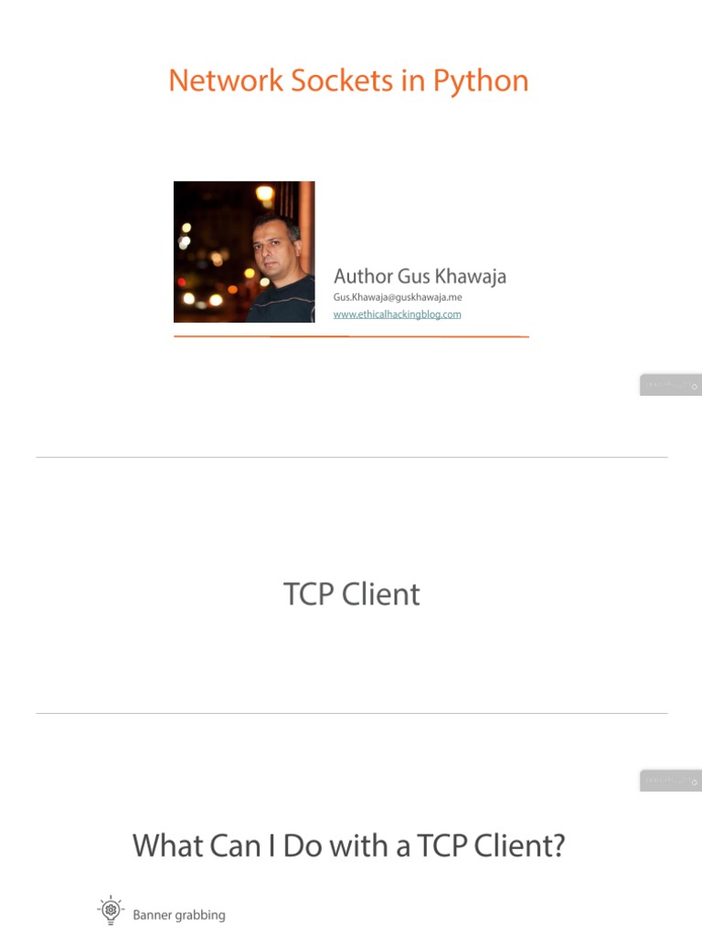 3 Network Penetration Testing Python Kali Linux m3 Slides | PDF