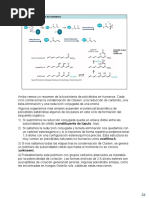 Biosíntesis De Los Terpenos Pdf