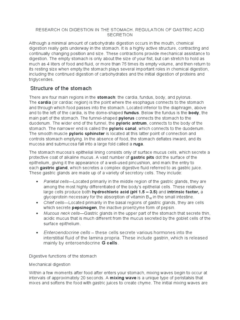 Research On Digestion in The Stomach | PDF | Stomach | Digestion