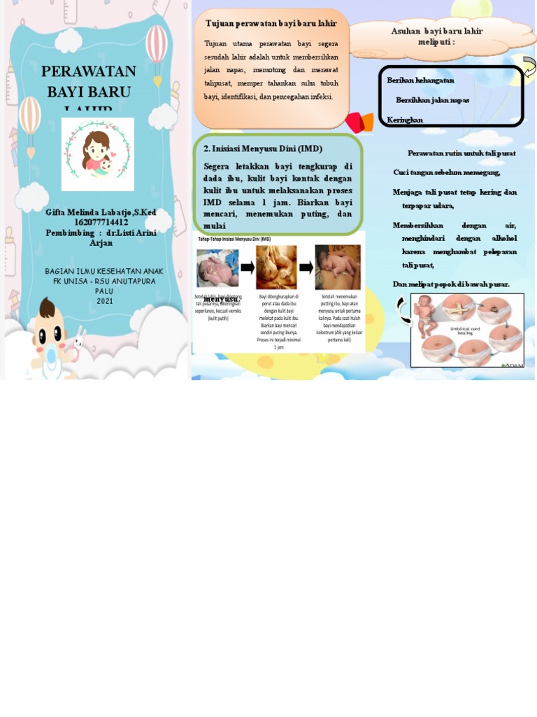 LEAFLET Bayi Baru Lakir | PDF