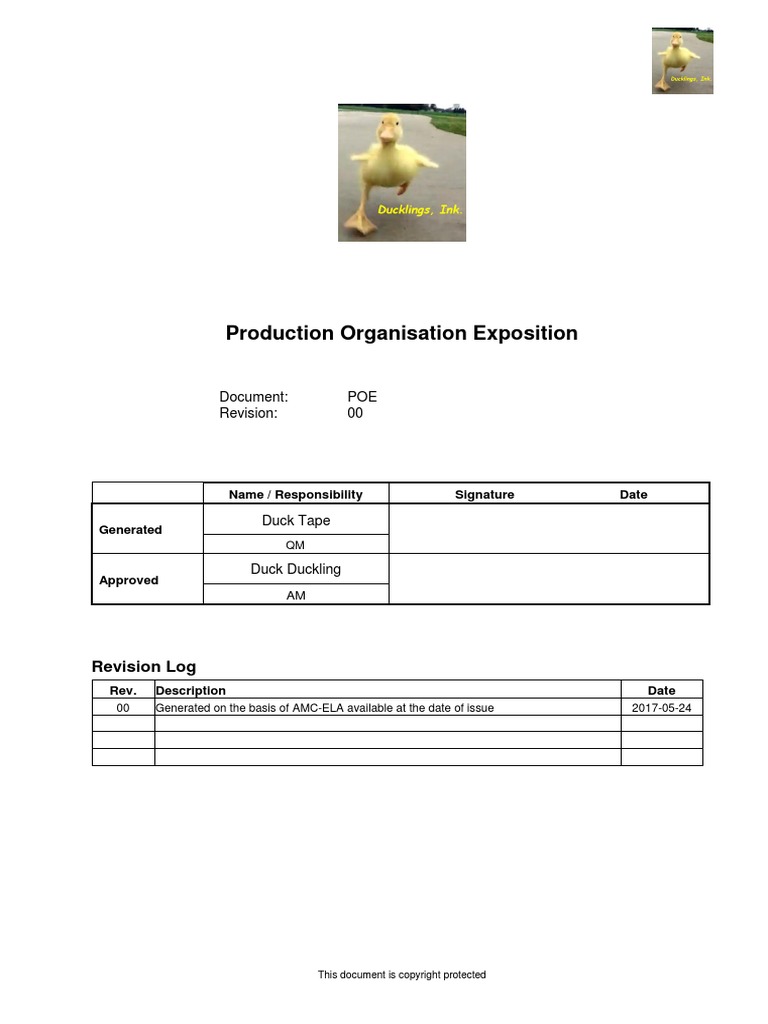 Production Organisation Exposition | PDF | Flight Test | Business