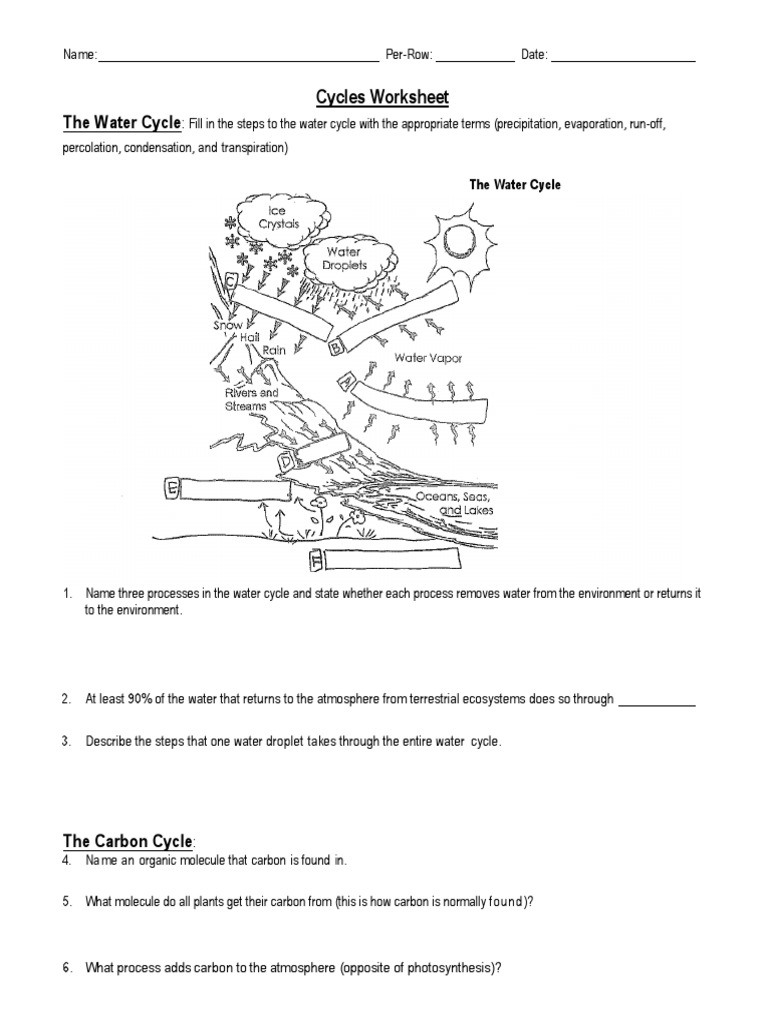 The Water Cycle: Cycles Worksheet | PDF | Science & Mathematics