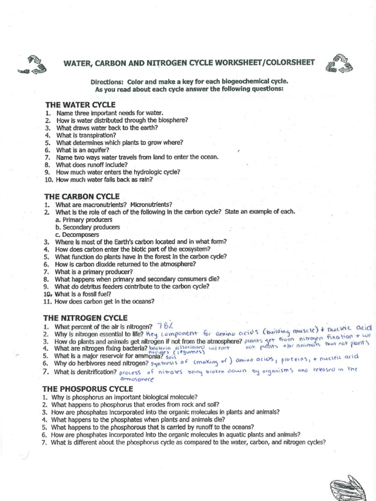 Cycle Questions and Nitrogen Cycle Answer | PDF