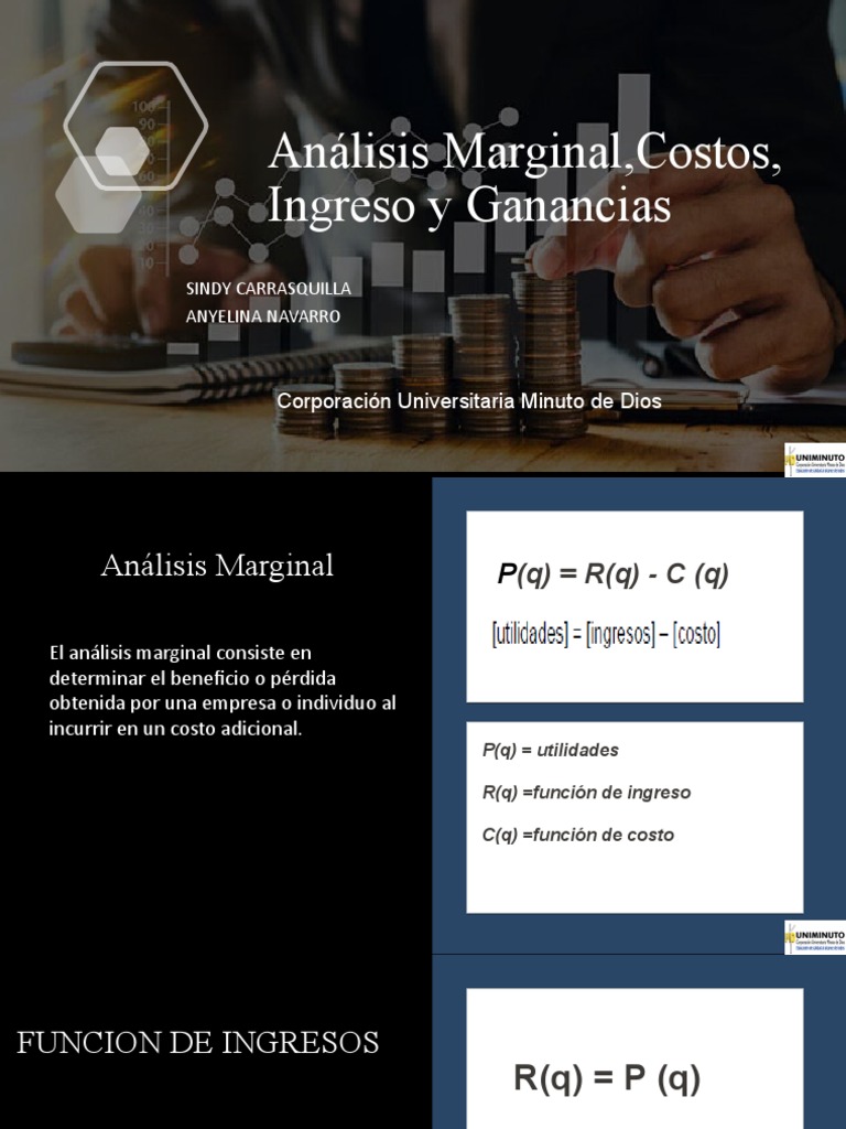 Analisis Marginal, Costos, Ingresos y Ganancias Cindy | PDF | Función ...