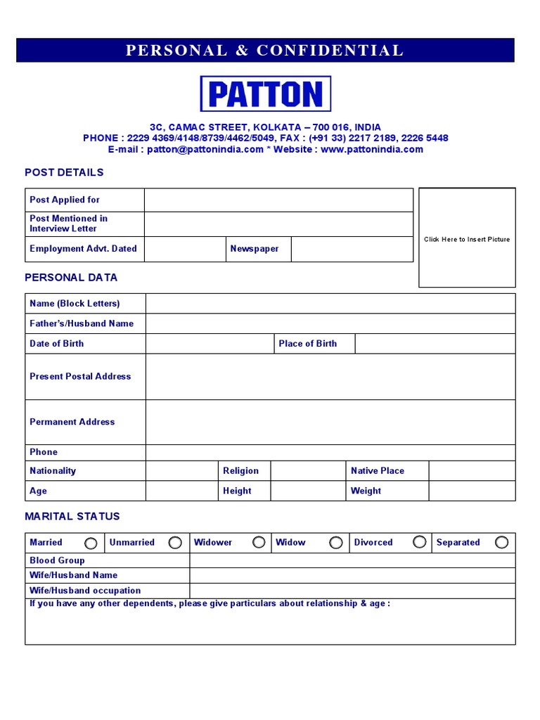 A Comprehensive Application for Employment: Documenting Professional ...