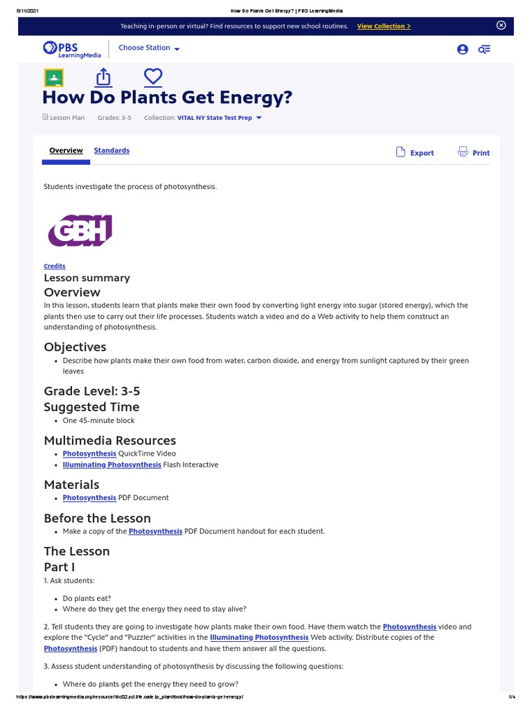 How Do Plants Get Energy - PBS LearningMedia | PDF | Photosynthesis ...