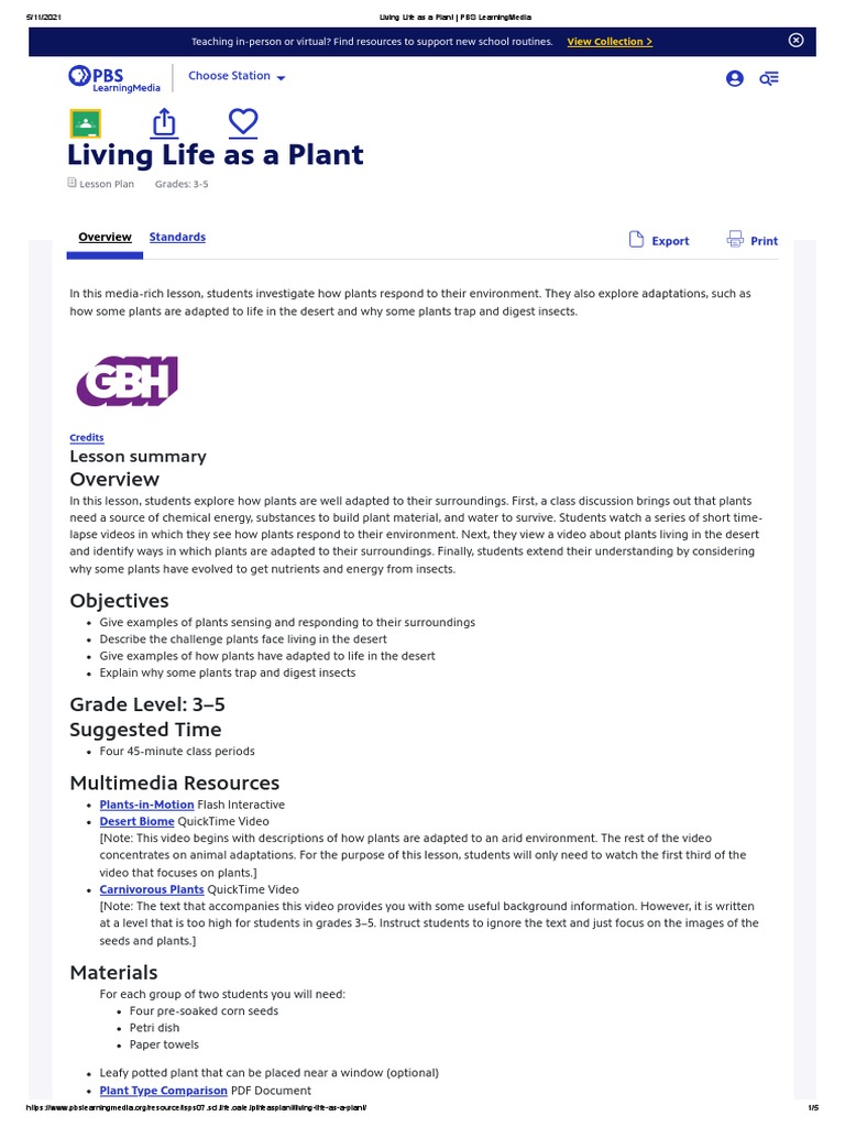 Living Life As A Plant - PBS LearningMedia | PDF | Root | Plants