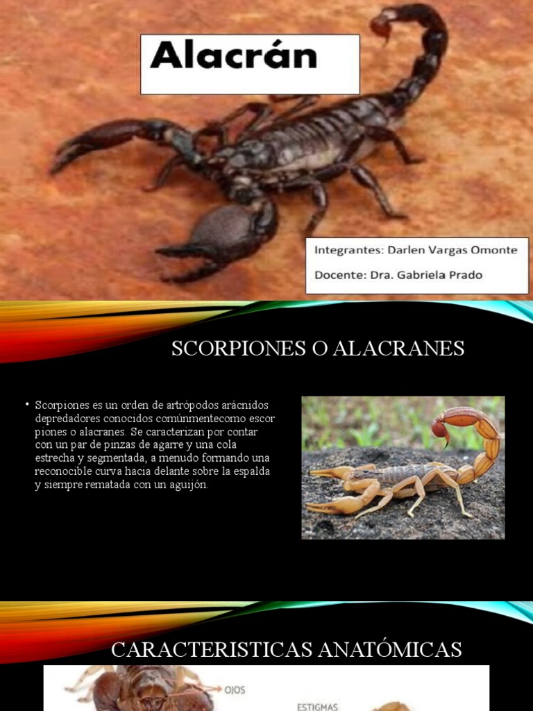 Características y Veneno de Escorpiones | PDF