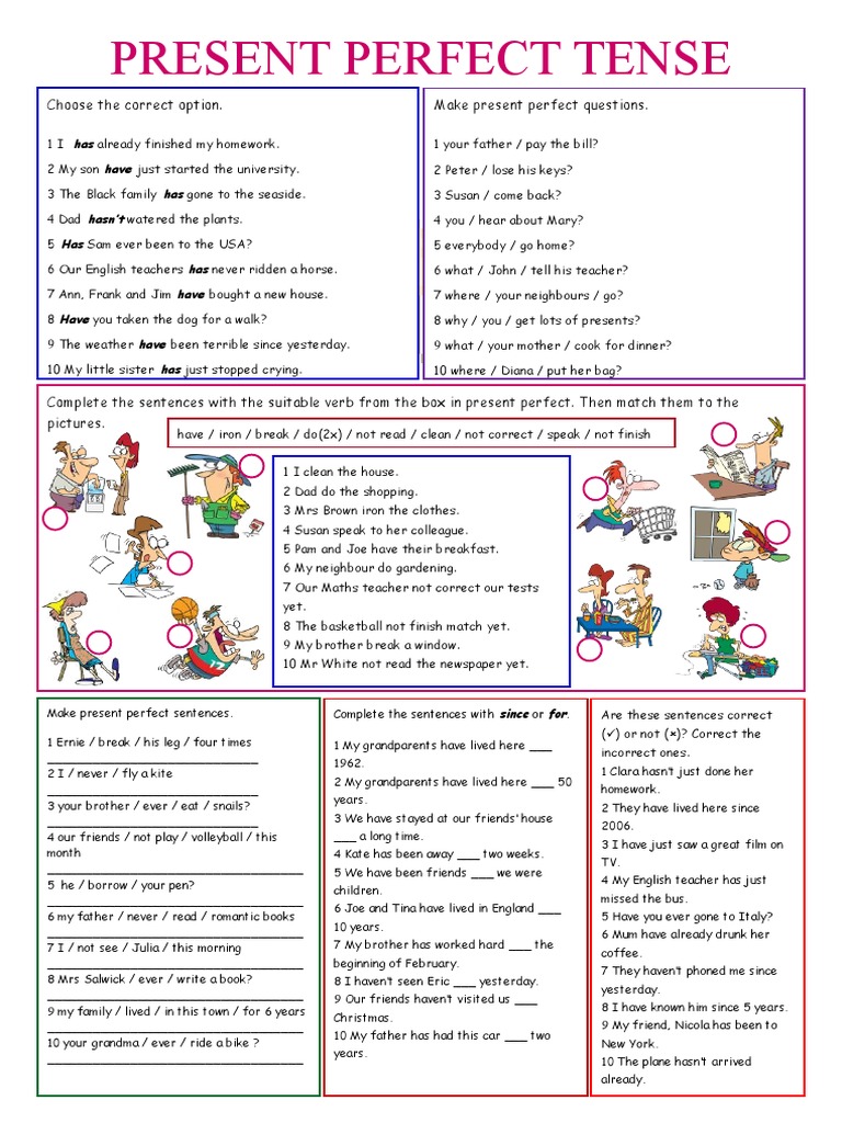 Present Perfect Tense: Choose The Correct Option. Make Present Perfect ...