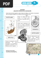 Poster Edades de La Historia | PDF | Historia antigua