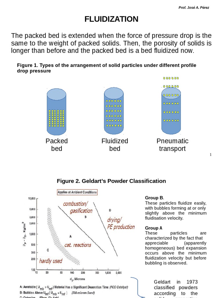Fluidized Bed | PDF | Fluidization | Classical Mechanics