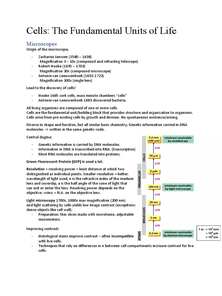 1 Cells The Fundamental Units of Life | PDF | Endoplasmic Reticulum ...