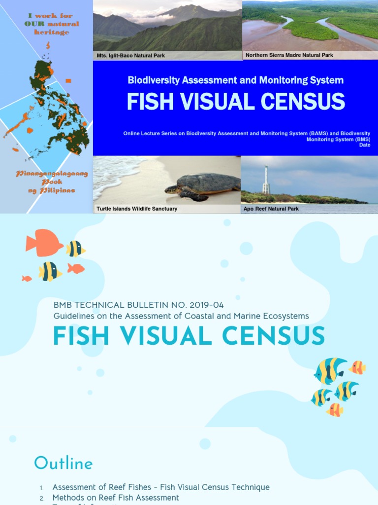 BAMS - Fish Visual Census | PDF | Census | Biodiversity