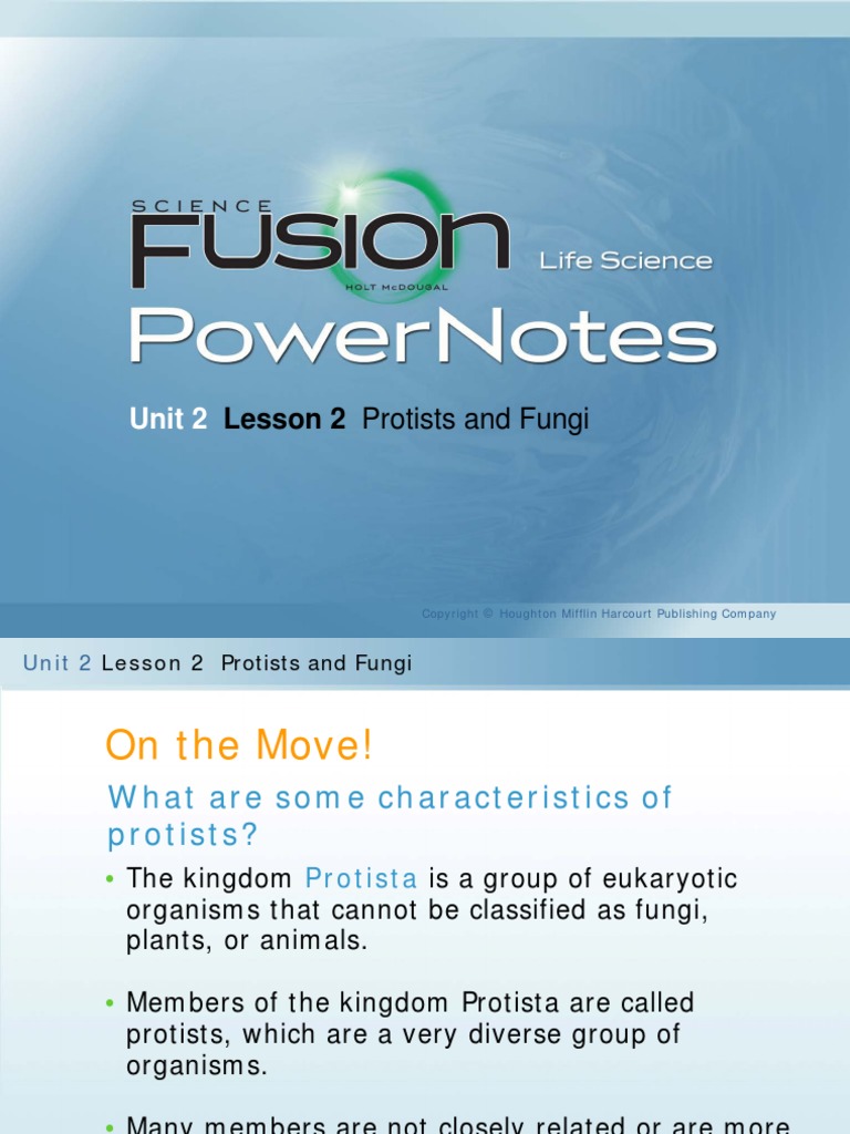 7th Grade Lesson 22 Protists and Fungi | PDF | Reproduction | Fungus
