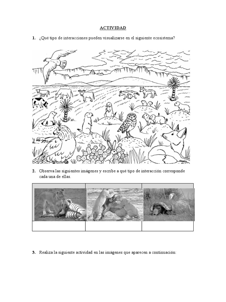 Guia Ciencias, Ecosistema Interacciones | PDF