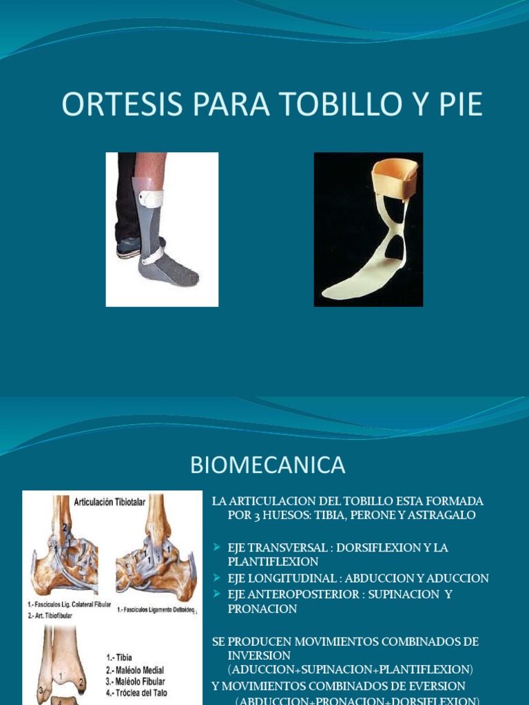 Ortesis para Tobillo y Pie Clase N 4 Actualizado | PDF | Pie | Anatomía ...