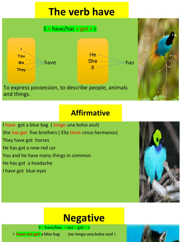 The Verb Have: S Have/has C | PDF | Language Arts & Discipline ...