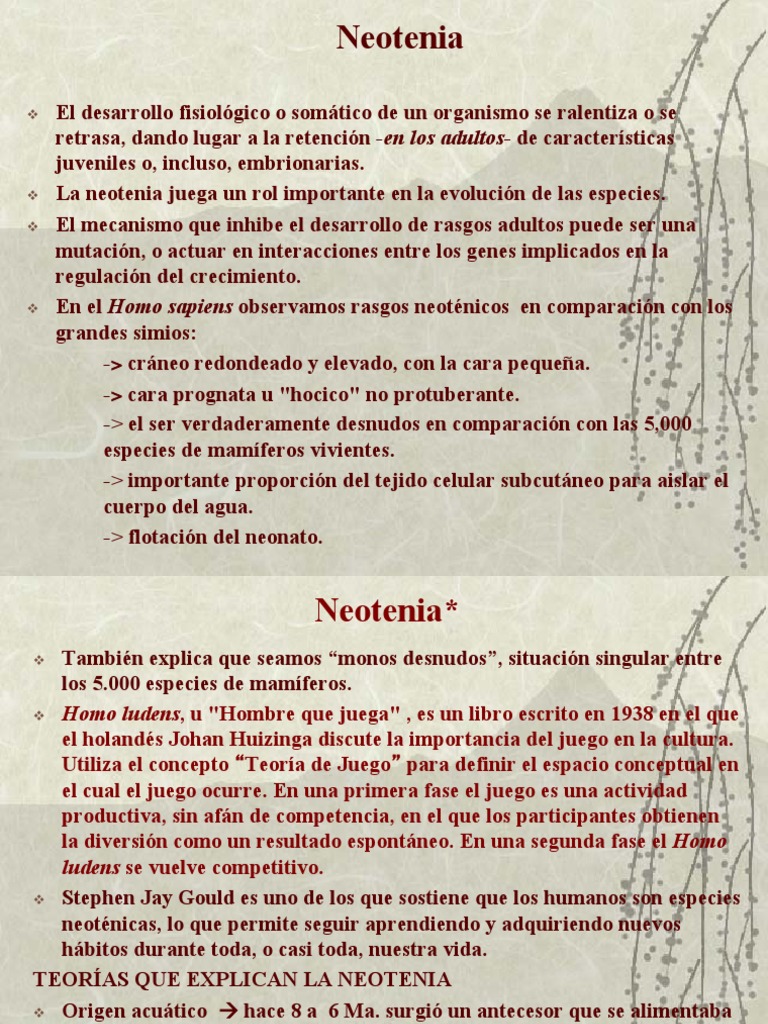 Neo Tenia | PDF | Biología | Organismos