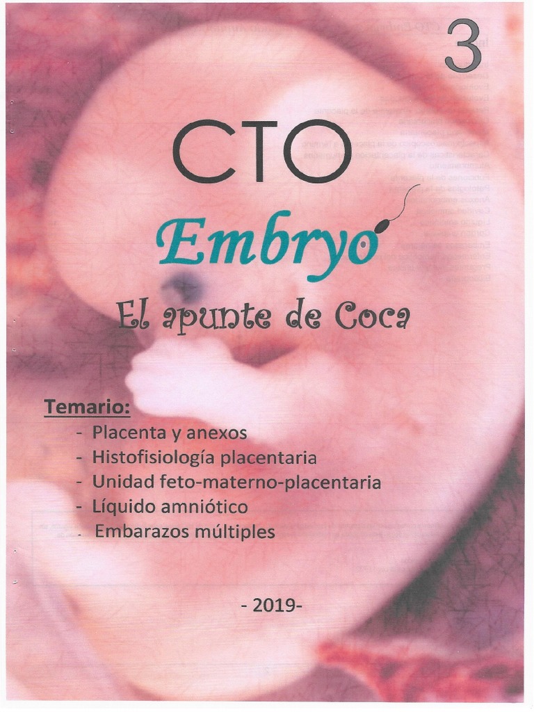 Cto Embrio 3 | PDF