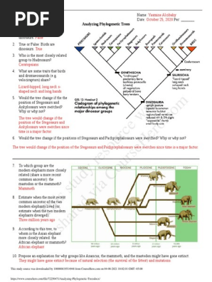 Phylogenetic Tree Worksheet