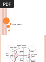 Fetal Skull Diameter Measurements | PDF