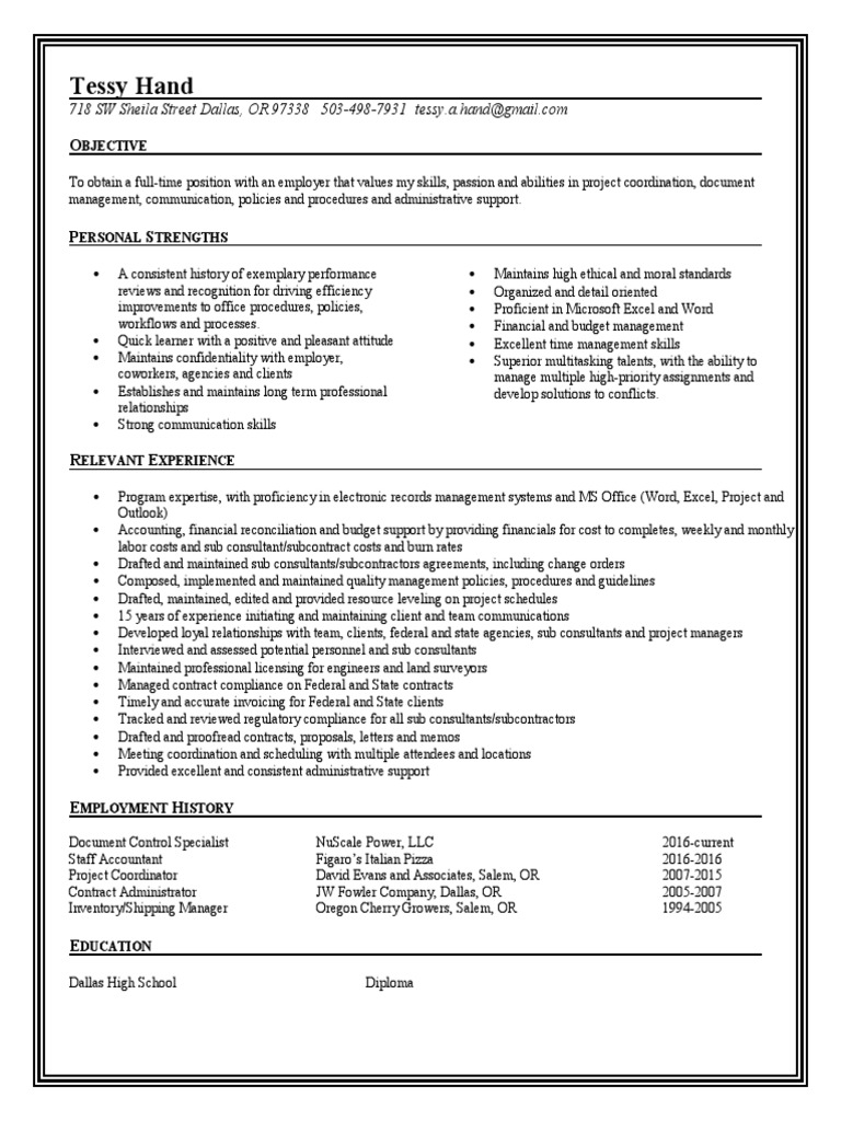 Dice Resume CV Tessy Hand | Download Free PDF | Consultant | Business
